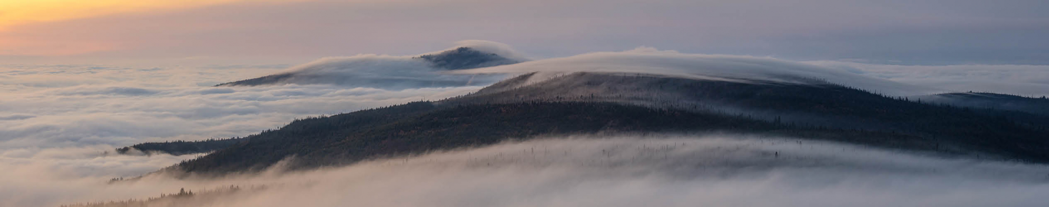 Lichtland.eu - Bücher aus dem Bayerischen Wald