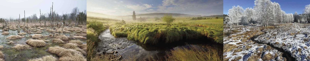 Lichtland.eu - Bücher aus dem Bayerischen Wald